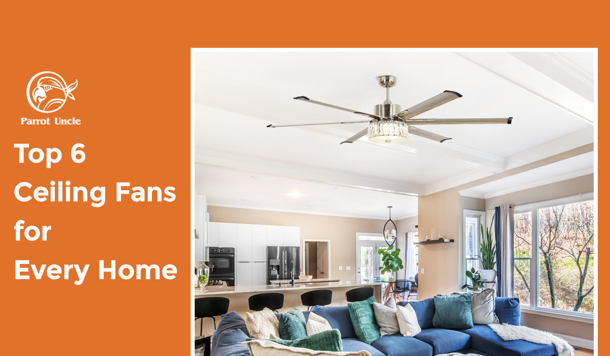 Top 6 Ceiling Fans for Every Home — Parrot Uncle