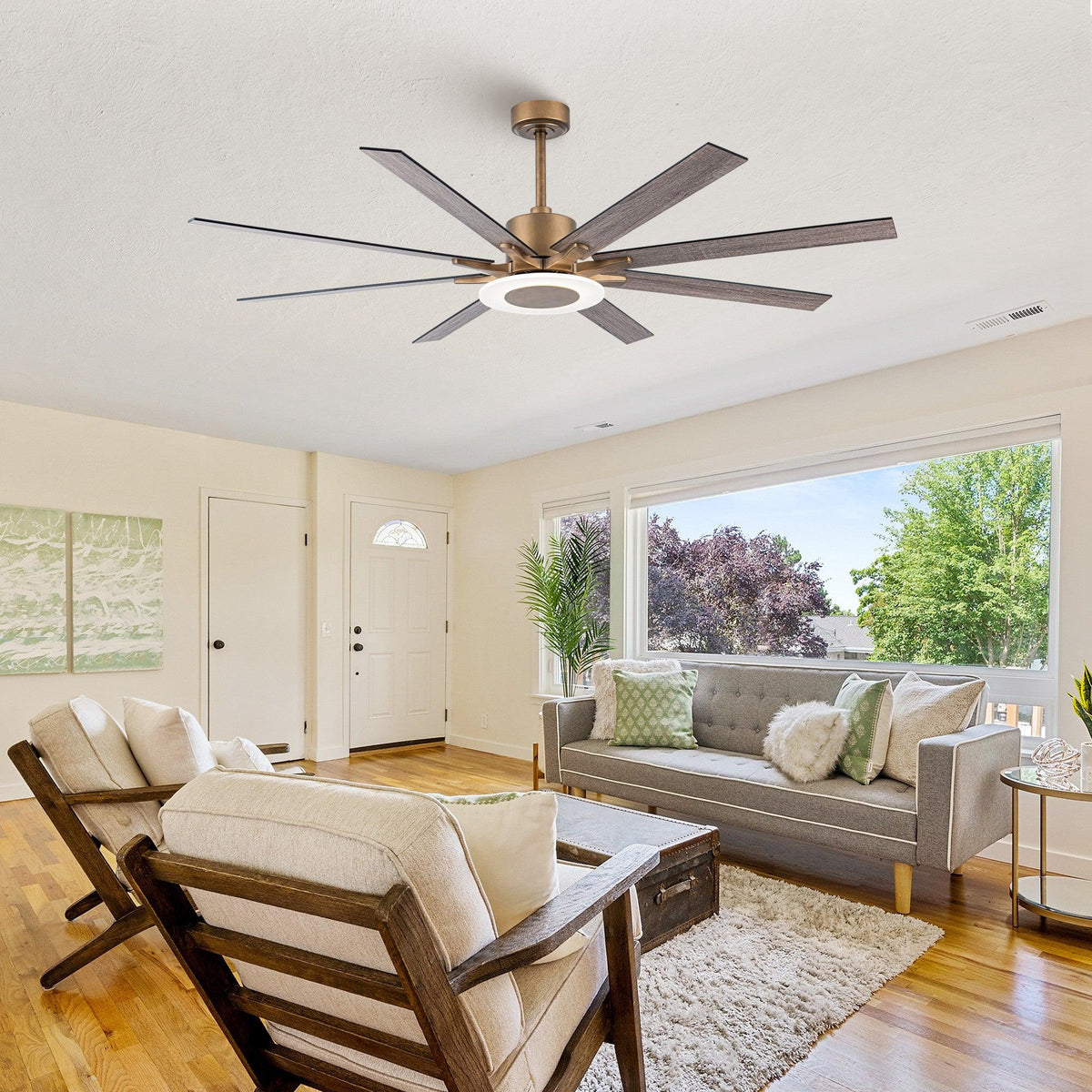 Ceiling Fans & Best Ceiling Fan with Lights Store | Parrot Uncle