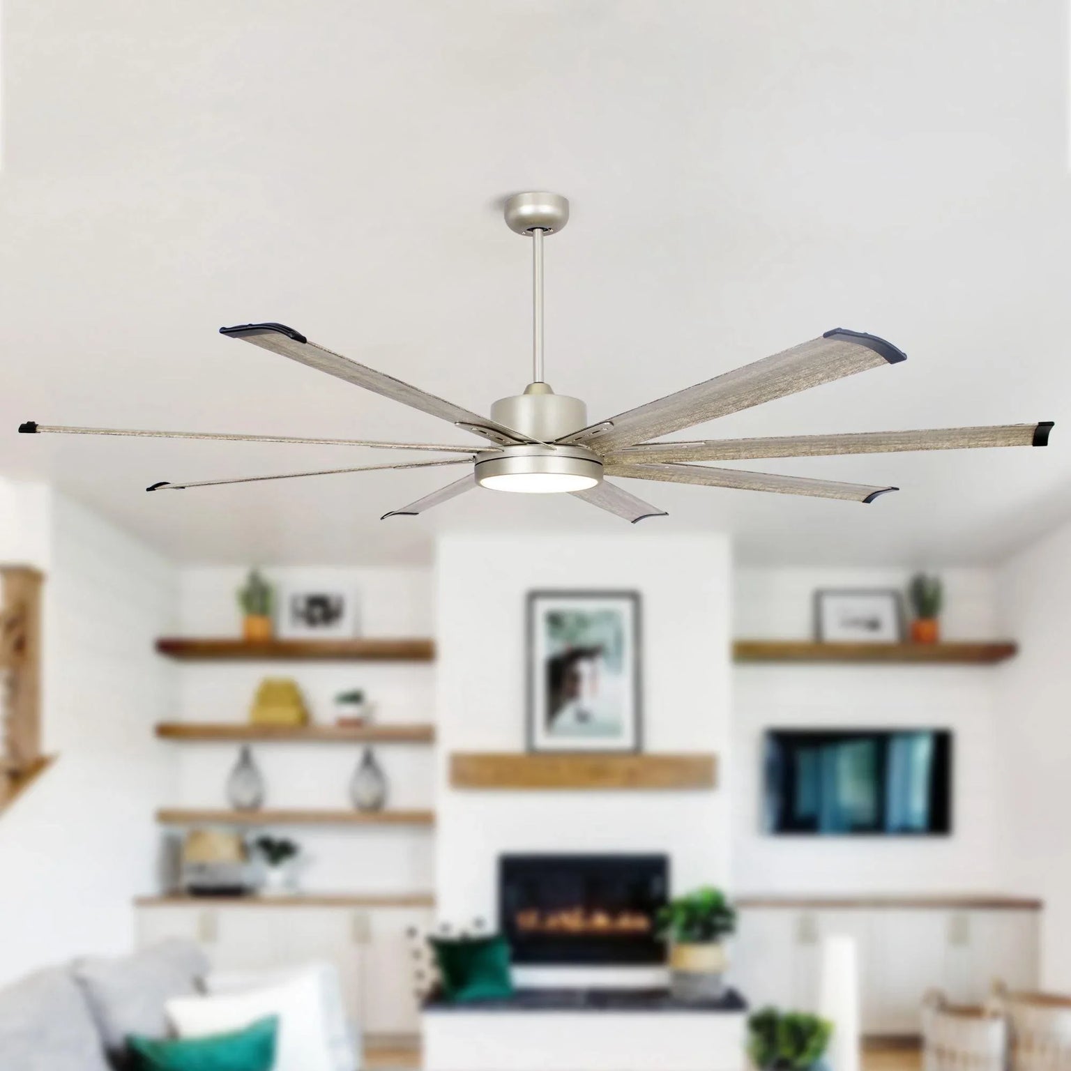 Large Ceiling Fans & Extra Large Ceiling Fans — Parrot Uncle